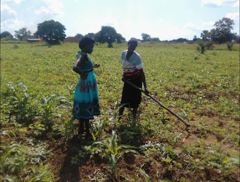 Uganda: The Pader Technical School Update – ALARM Inc